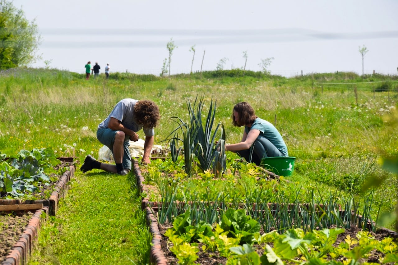 Vivre et apprendre dans des fermes bio et paysannes - WWOOF Belgium