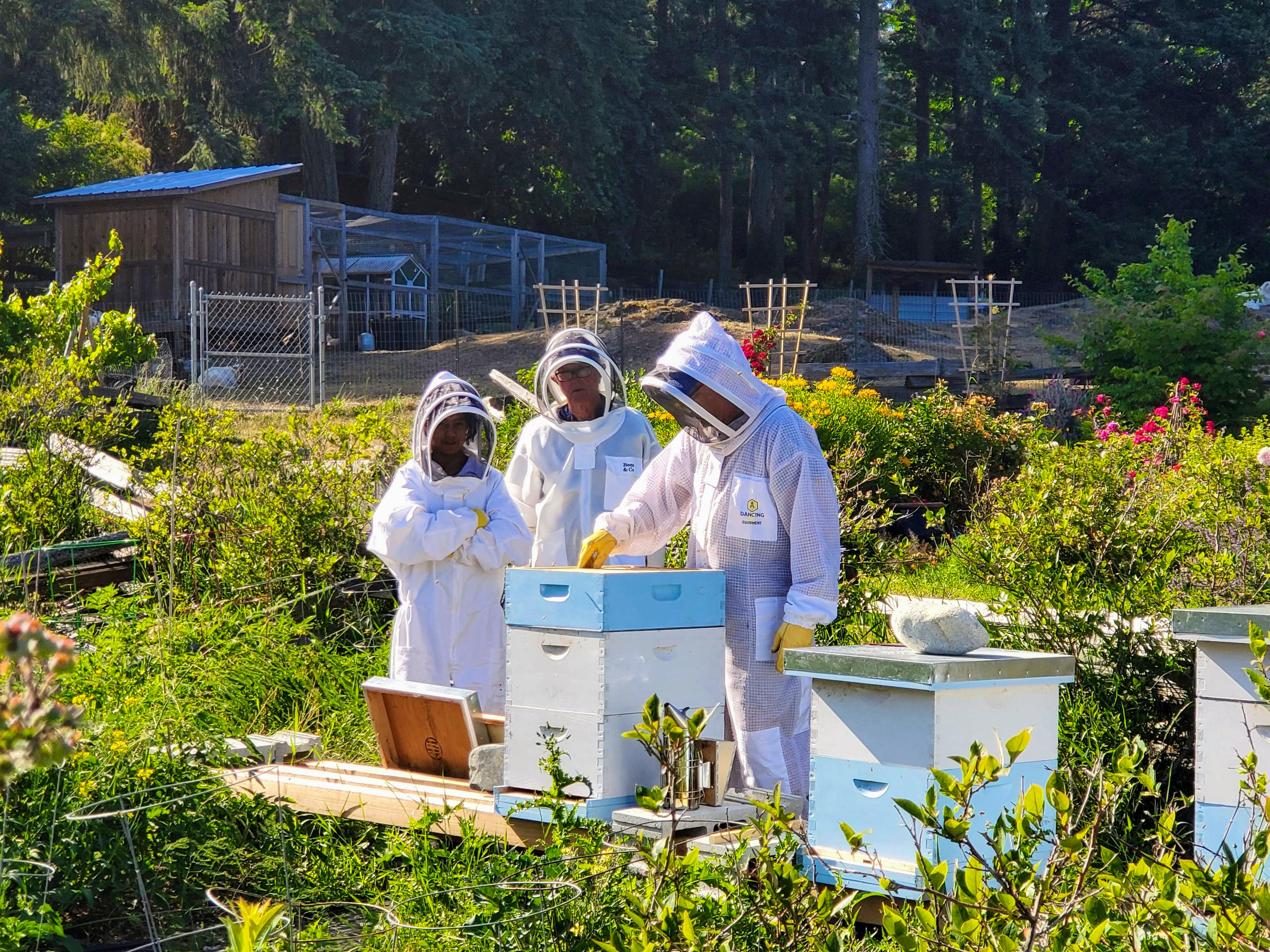 Live and Learn on Organic Farms - WWOOF Canada
