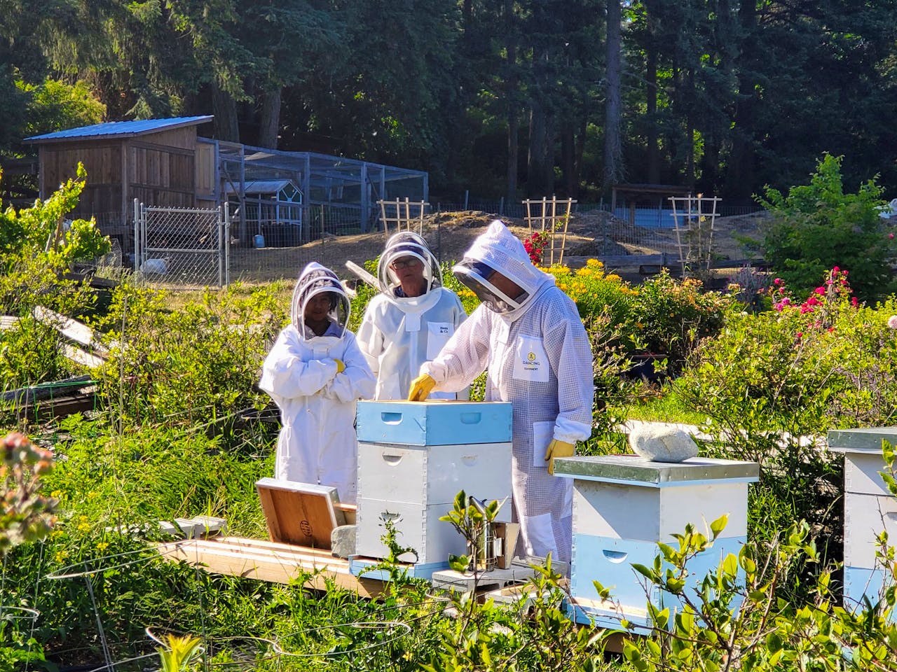Live and Learn on Organic Farms - WWOOF Canada