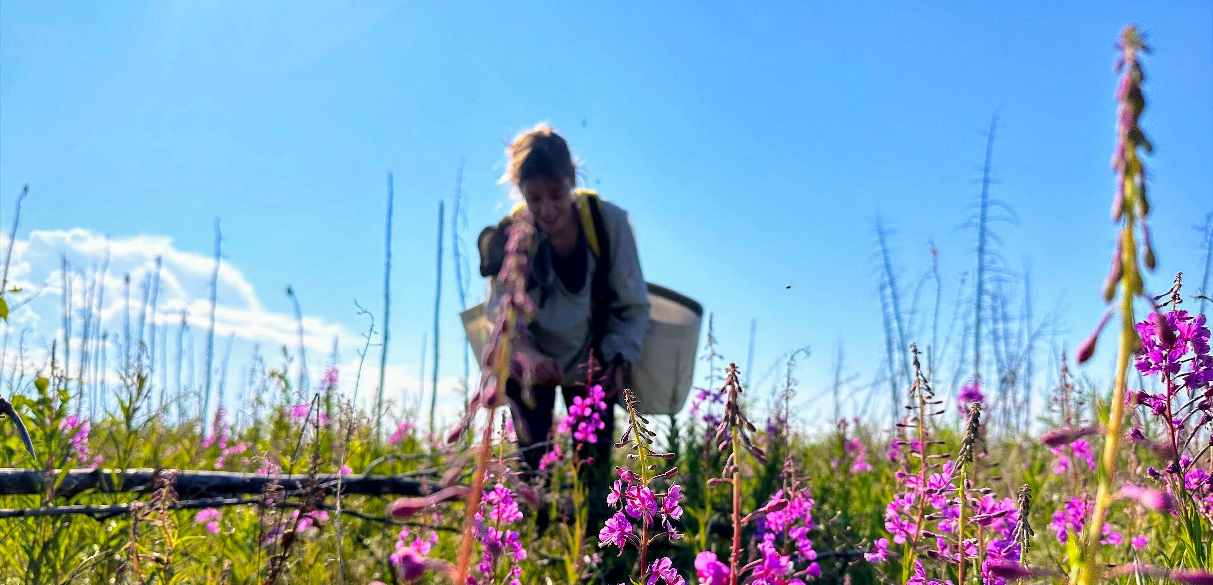 Hosts - WWOOF Canada