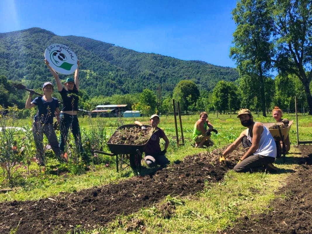 Live and Learn on Organic Farms - WWOOF Chile