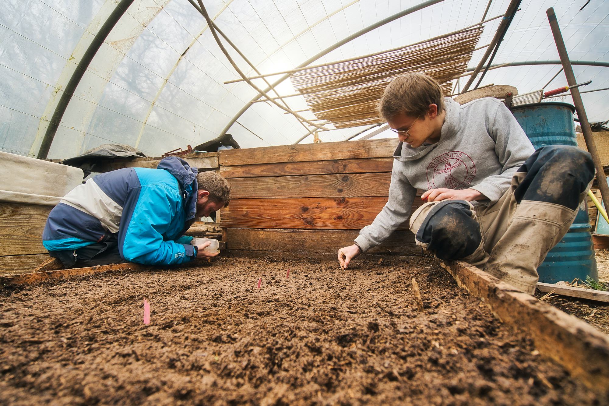 Live and Learn on Organic Farms - WWOOF France