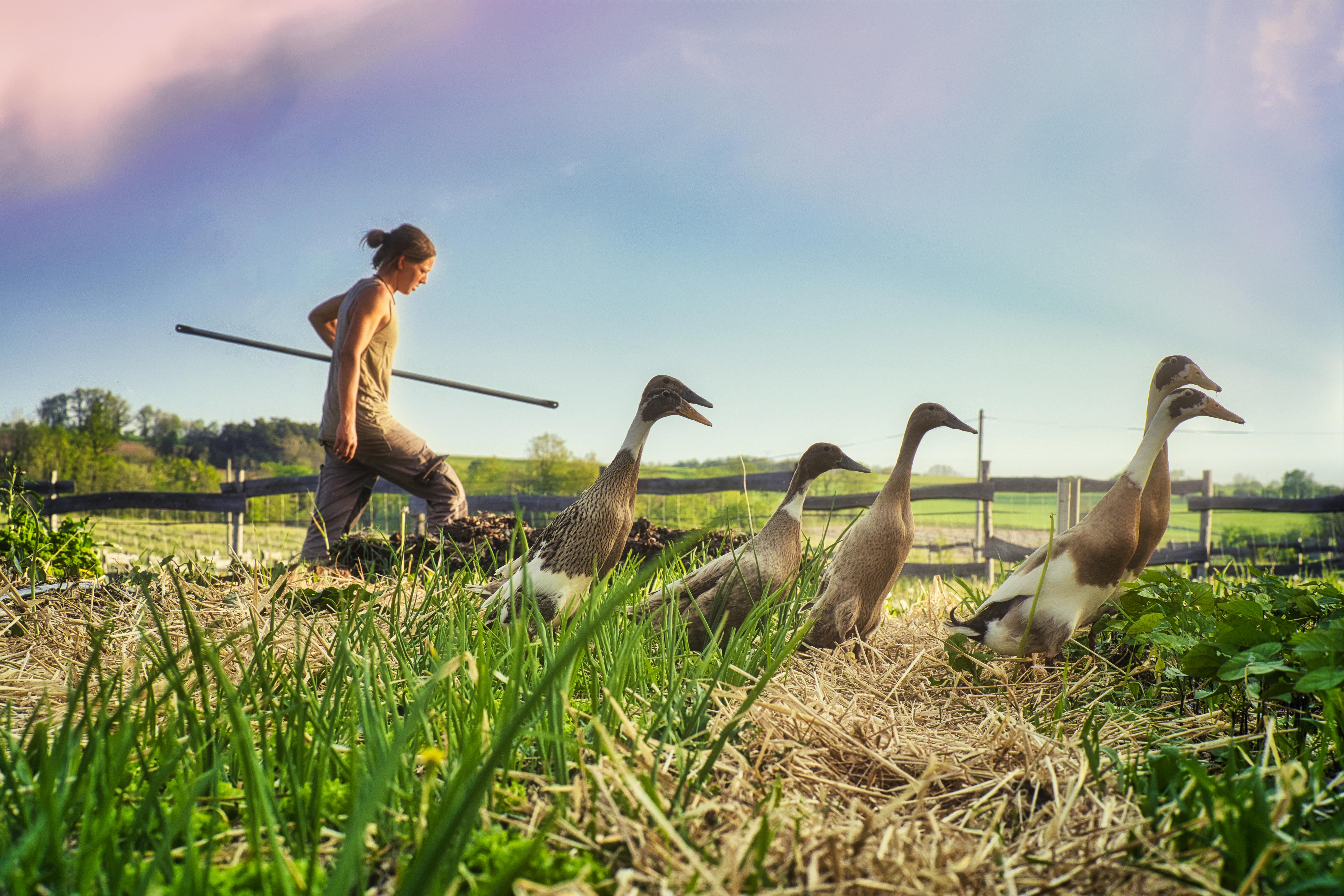 Live and Learn on Organic Farms - WWOOF France
