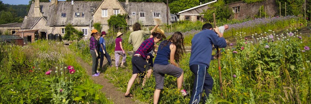 Live and Learn on Organic Farms - WWOOF United Kingdom