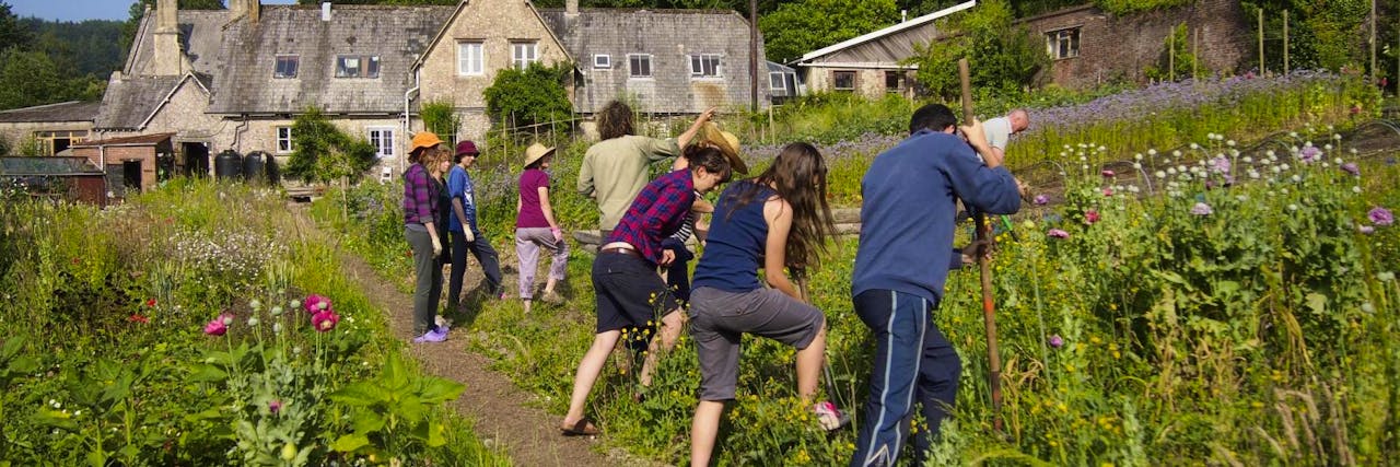 Live and Learn on Organic Farms - WWOOF United Kingdom