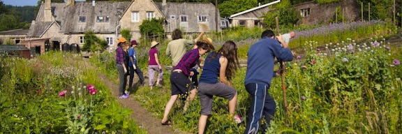 Live and Learn on Organic Farms - WWOOF United Kingdom