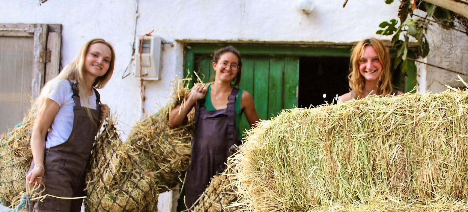 Live and Learn on Organic Farms - WWOOF Greece