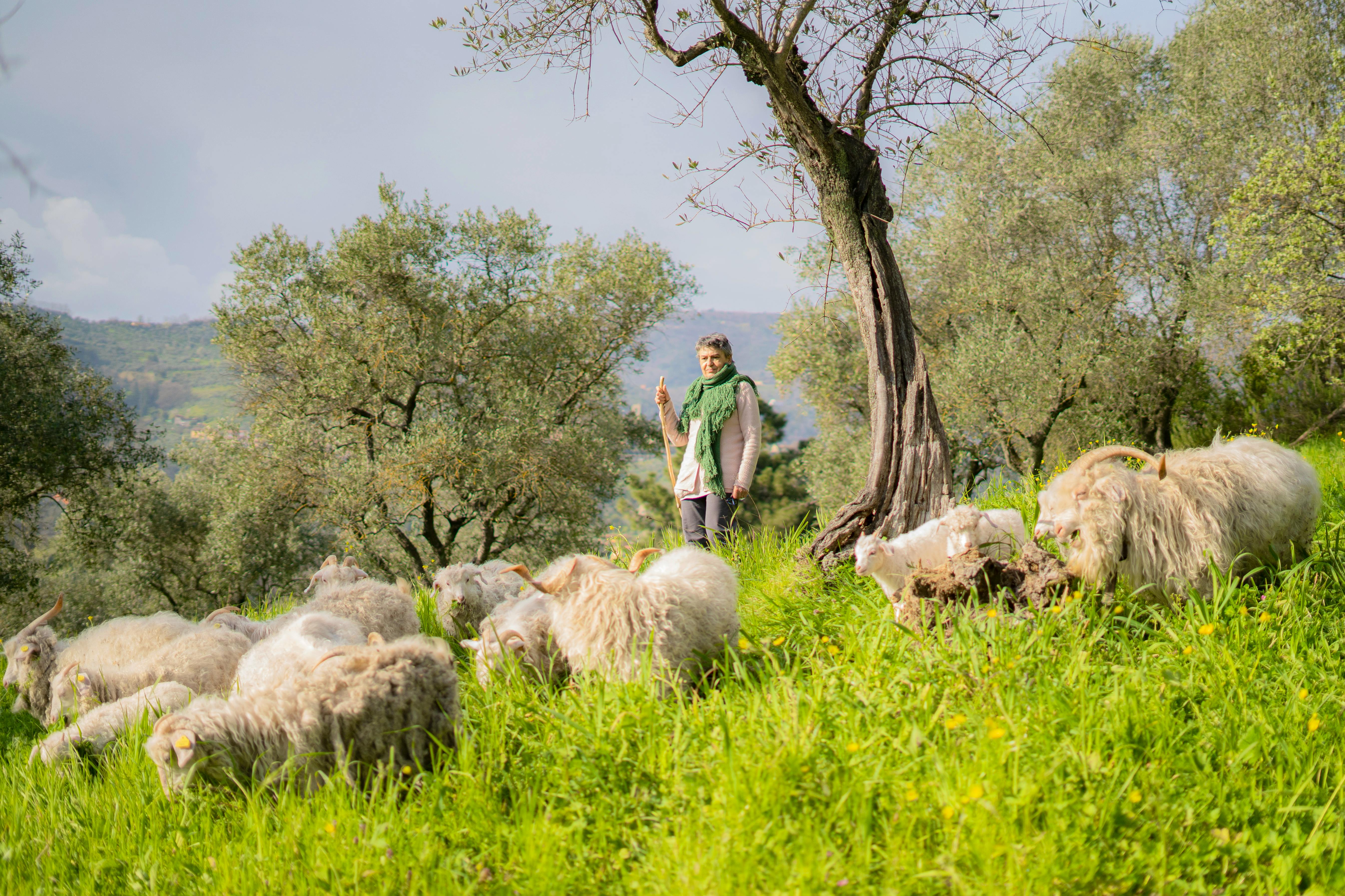 Live and Learn on Organic Farms - WWOOF Italia