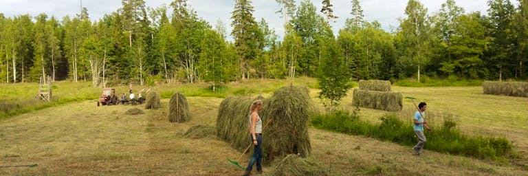 Live and Learn on Organic Farms - WWOOF Sweden