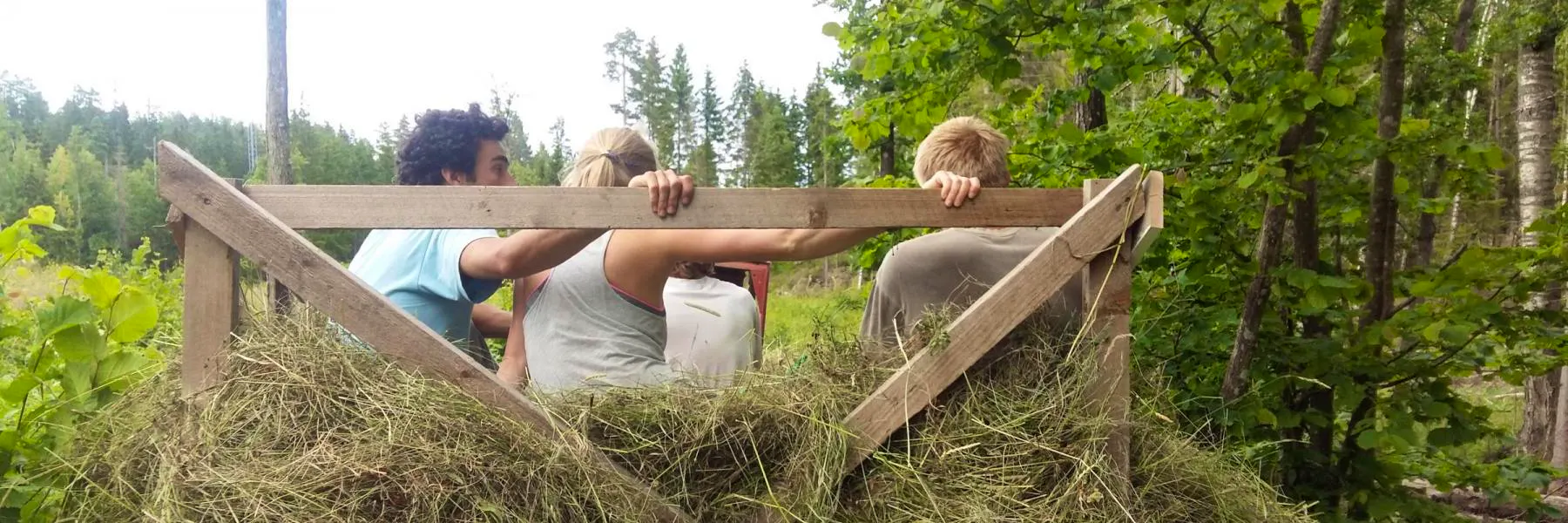 Leben und Lernen auf ökologischen Höfen - WWOOF Sweden