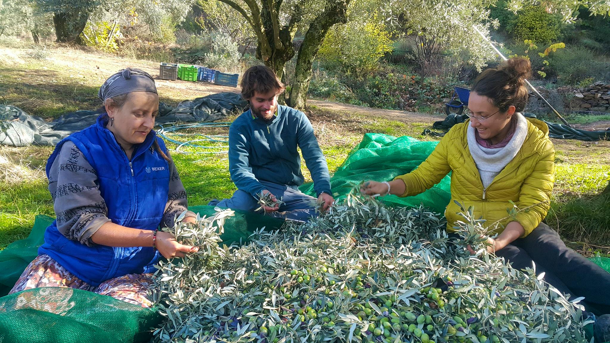 Iniciar sesión - WWOOF Türkiye