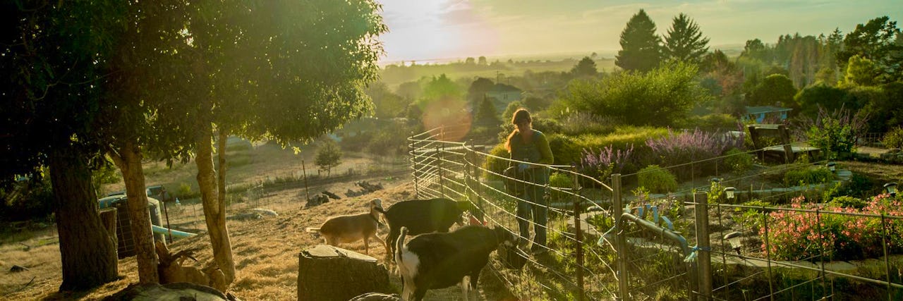 Live and Learn on Organic Farms - WWOOF USA