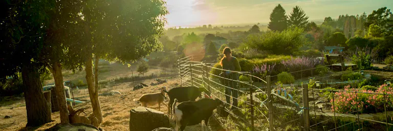 Live and Learn on Organic Farms - WWOOF USA