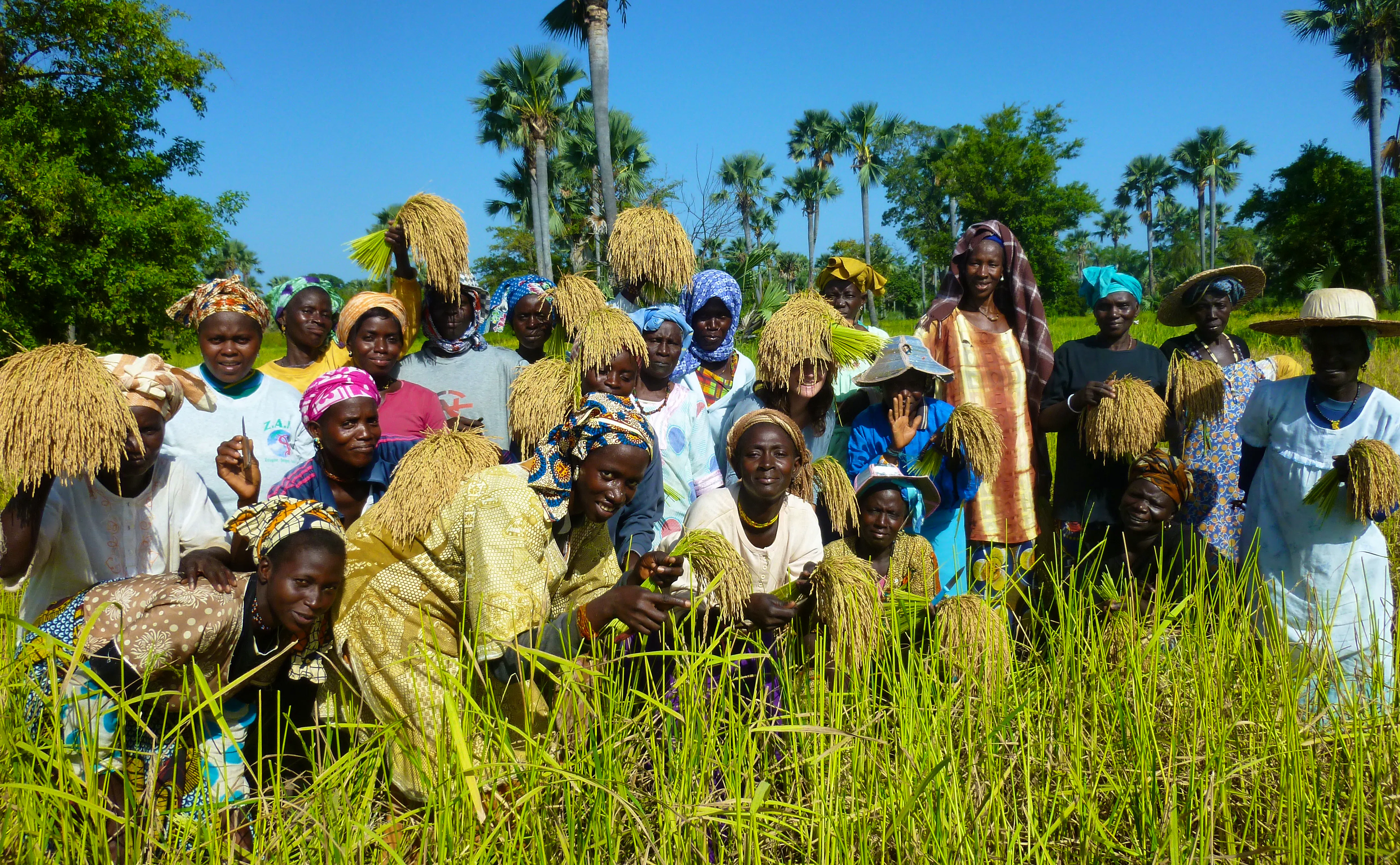Live and Learn on Organic Farms - WWOOF Independents