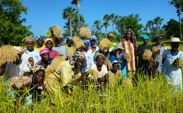 Live and Learn on Organic Farms - WWOOF Independents