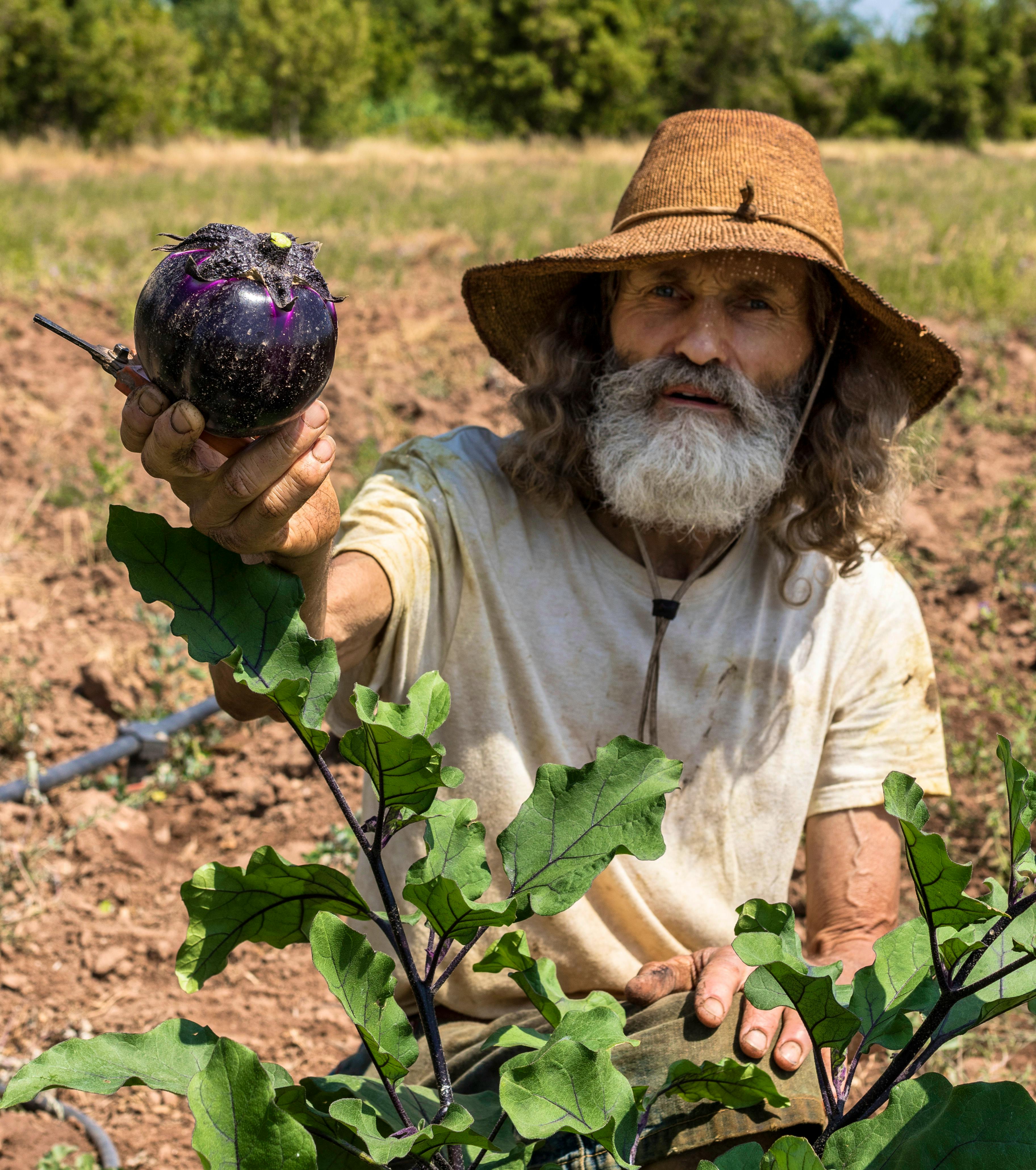 How It Works - WWOOF United Kingdom