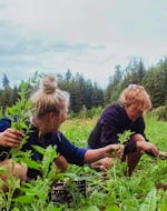 How It Works - WWOOF Italia