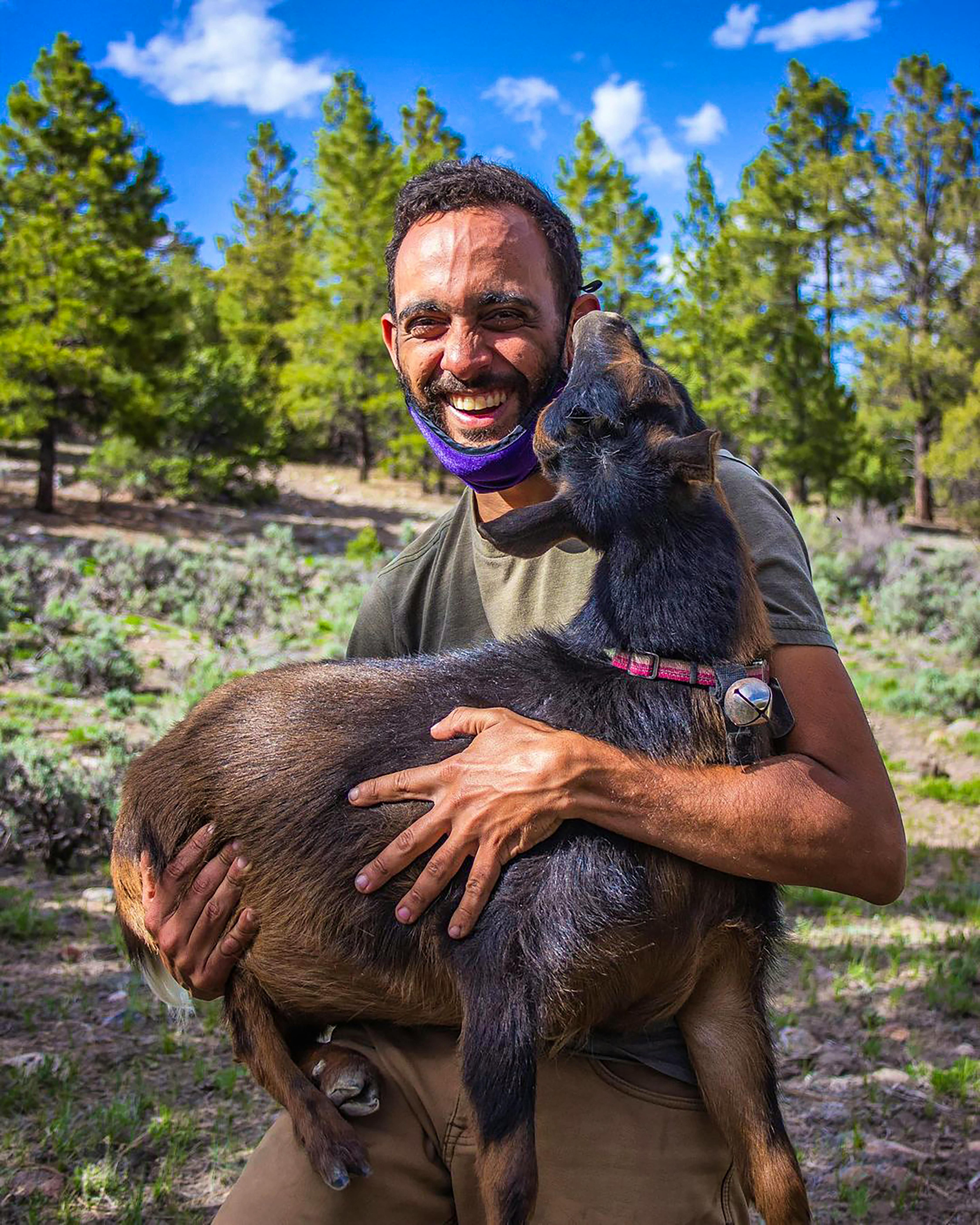 How It Works - WWOOF United Kingdom