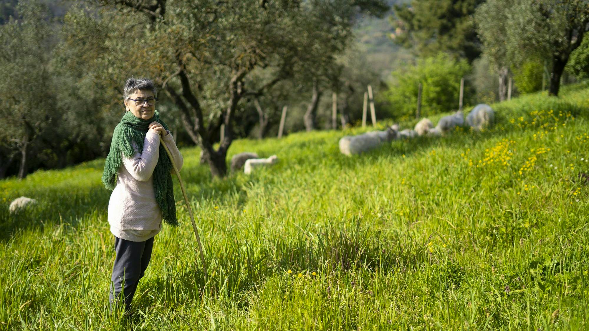 Vigneto Fattoria Mista Fattoria Di Famiglia WWOOF Italia vigneto-fattoria-mista-fattoria-di-famiglia-wwoof-italia